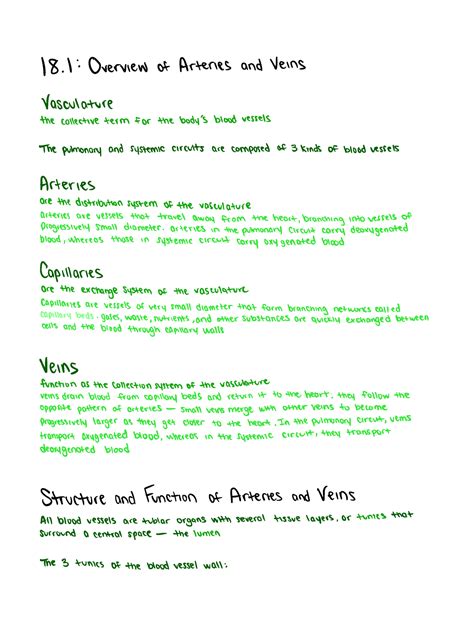 Chapter 18 Cardiovascular System 2 The Blood Vessels 8 1 Overview