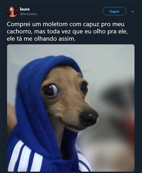 Fotos Engra Adas De Animais 2020 Na Se O De Piadas Do Clickgr Tis Voc
