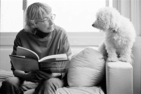 Poemas De Mary Oliver Explorando La Belleza De La Naturaleza Y La Vida