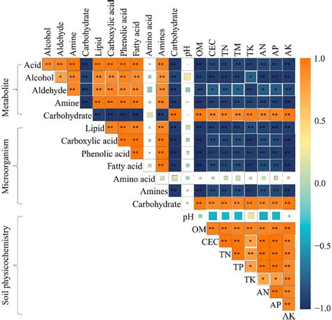 Frontiers Effect Of Continuous Planting On Casuarina Equisetifolia