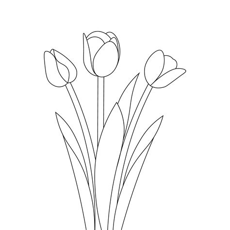 Tulip Line Art Flower Coloring Page Design For Printing Template