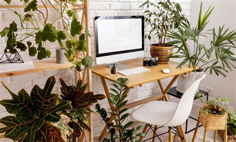 Office Makeover Tropical Themed Design Ideas For Calm And Refreshing