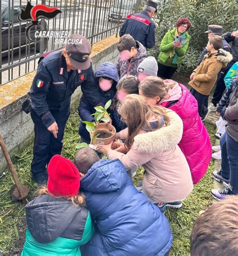 Ferla E Buscemi Un Albero Per Il Futuro Progetto Nazionale