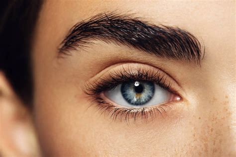 Cejas naturales 9 Trucos para tenerlas más bonitas SIN MAQUILLAJE