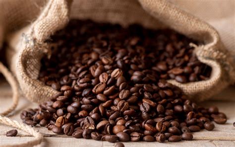 Descubre qué es el café de especialidad y sus características