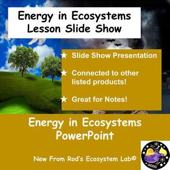 Energy Flow In Ecosystems Lesson Slide Show Presentation FREE Editable