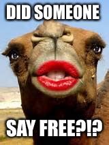 Image Tagged In Camel Lipstick Imgflip