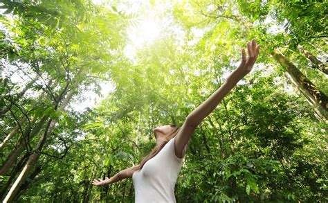 Por qué es bueno que tengas contacto con la naturaleza Bekia Salud