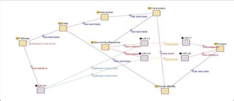 Partial View Of Glycolysis Gluconeogenesis Pathway Yellow Square Nodes