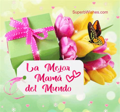 Feliz Día de la Madre Con Un Regalo de Flor en Maceta SuperbWishes