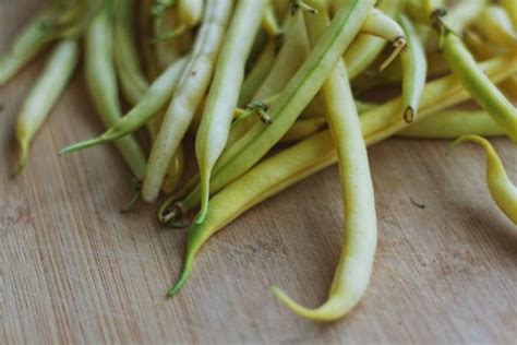 Come Coltivare I Fagioli Tecniche Agronomiche E Caratteristiche