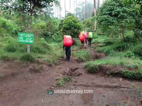 Mendaki Gunung Merbabu Via Suwanting Rivai Hidayat