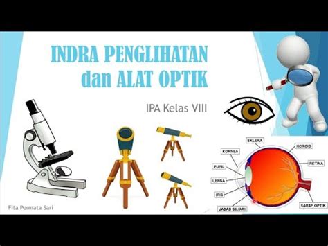 Indra Penglihatan Dan Alat Optik IPA Kelas VIII Mata YouTube
