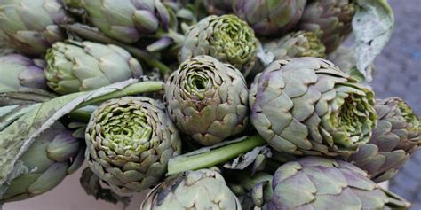 Propiedades Del Alcaucil O Alcachofa El Horticultor