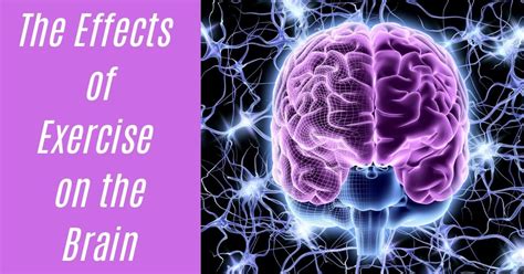 The Effects Of Exercise On The Brain Commercial Fitness Octane Fitness