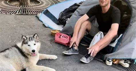 Cet Husky Sibérien devient ami avec un SDF et donne à son maître une