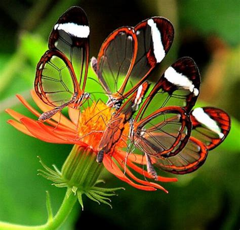 Western Colorado Botanical Gardens In Grand Junction CO