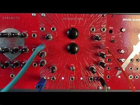 Djupviks Elektronik De Distorted Light Dual Stereo Reverb