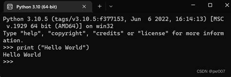 什么是 python 解释器？ python解释器 csdn博客