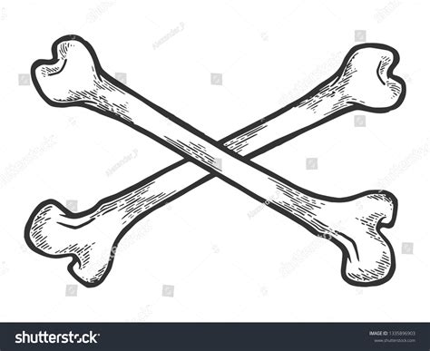 56 158 Bones Cross Images Stock Photos Vectors Shutterstock