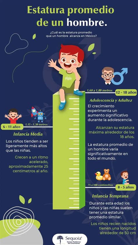 La Estatura Promedio De Un Hombre Datos Y Perspectivas