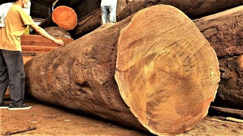 Amazing Sawmill Wood Cutting Amazing Woodworking Factory Ultimate