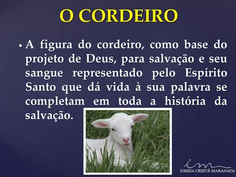 O Sangue E A Palavra E Eles O Venceram Pelo Sangue Do Cordeiro E Pela