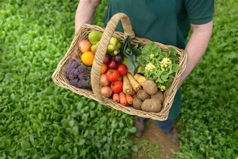 La gastronomía sostenible un reto o una necesidad Consejo Nutricional
