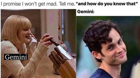 Funny Gemini Memes