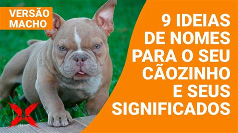 Nomes Para Cachorro Macho E Seus Significados Xb Kennel Youtube