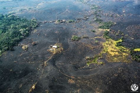 Deforestación en Colombia aumenta a medida que se intensifica el