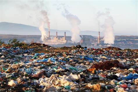 Qué es la educación ambiental concepto y objetivos Resumen