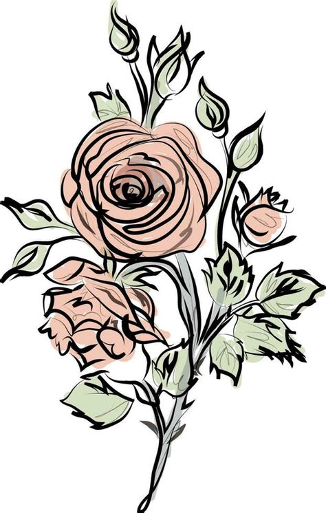 Hand Drawn Rose Line Art Drawing Images Illustration Vector