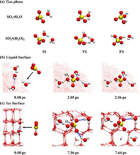 A Reaction Pathways Of SO 3 With Water Monomer And Water Dimer