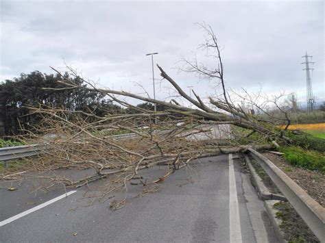 Allerta Per Il Forte Vento Attese Raffiche Fino A 80 Chilometri All Ora
