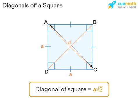 Properties Of A Square In Geometry