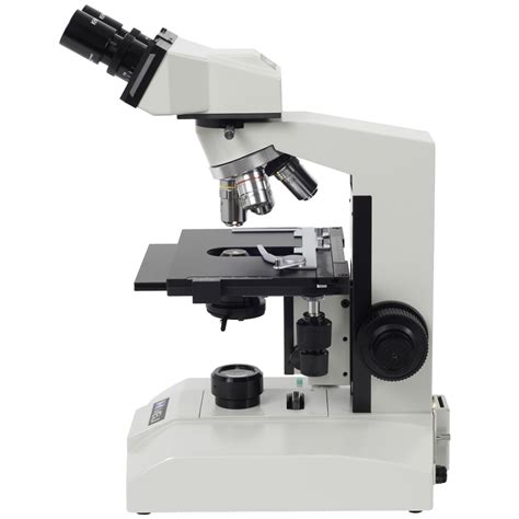 Unit 6 The Microscope And Cells Diagram Quizlet