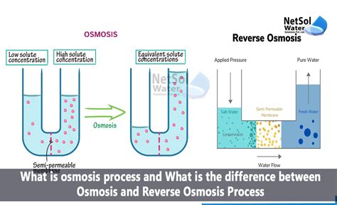 What Is The Difference Between Osmosis And Reverse Osmosis Process