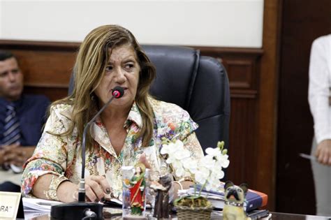 Denise solicita empenho da Prefeitura para combater a poluição sonora