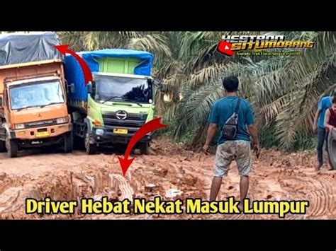 Si Oren Nekat Masuk Kubangan Lumpur Yang Dalam Walau Muatan Menggunung