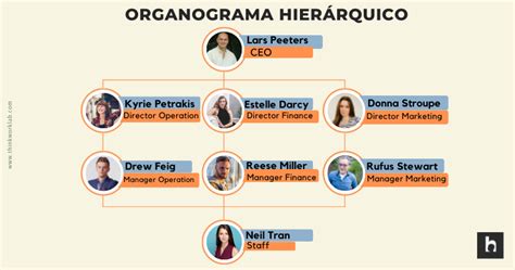 O que é organograma Aprenda como fazer e conheça os tipos e modelos