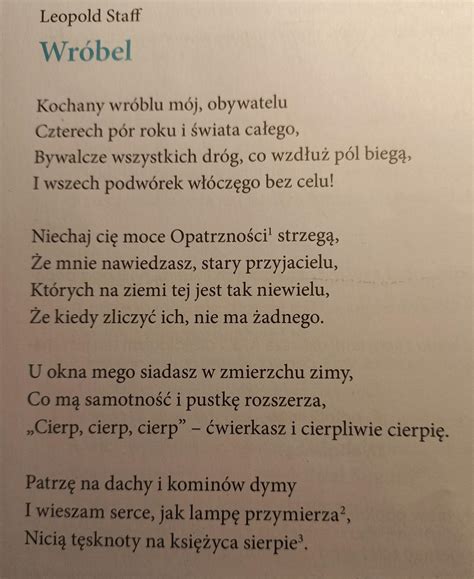 Wypisz z wiersza dwie części mowy za pomocą których podmiot liryczny