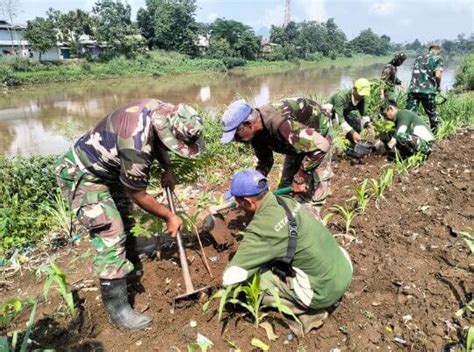 Antisipasi Bantaran Longsor Satgas Citarum Sektor 8 Serentak Tanam