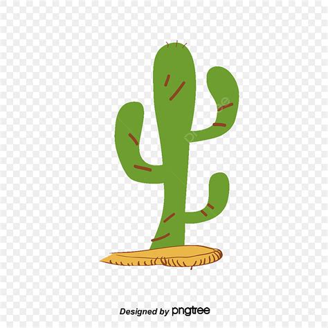 Cacto Do Deserto PNG Cacto Vector Png Ciência Ambiental Imagem PNG
