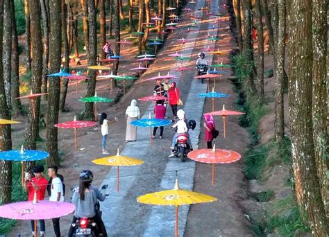 Tempat Wisata Di Magelang Yang Lagi Hits Terbaru
