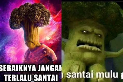 Meme Kocak Brokoli Gak Santai Lawan Dari Meme Santai Dul