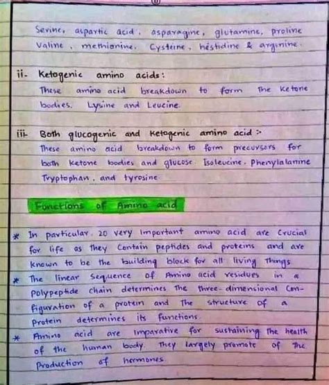 Amino Acids Definition Properties Structure Classification Functions