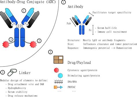 More Than ToxinsCurrent Prospects In Designing The Next Generation Of