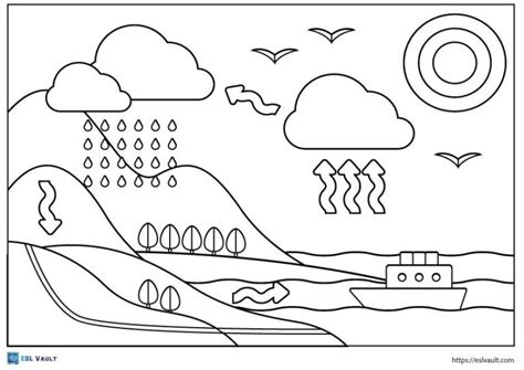 12 Free Water Cycle Coloring Pages And Diagrams ESL Vault