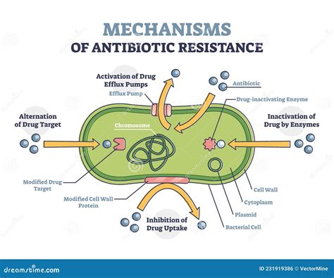 Antibiotic Resistance Concept Bacteria Resistant To Drug Vector